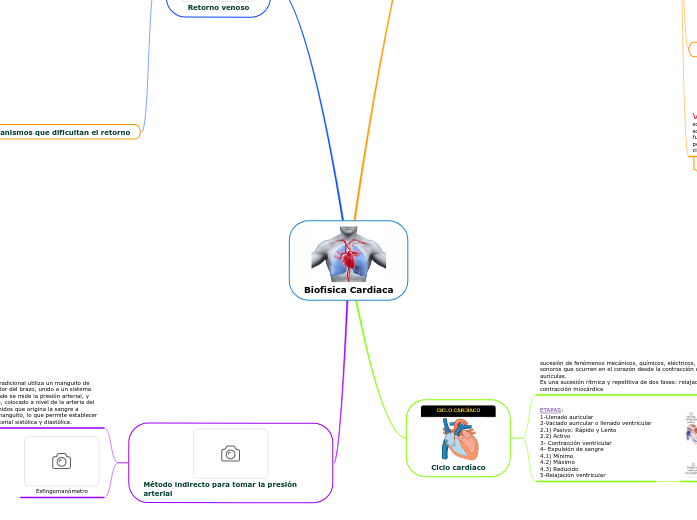 Biofisica Cardíaca - Mind Map